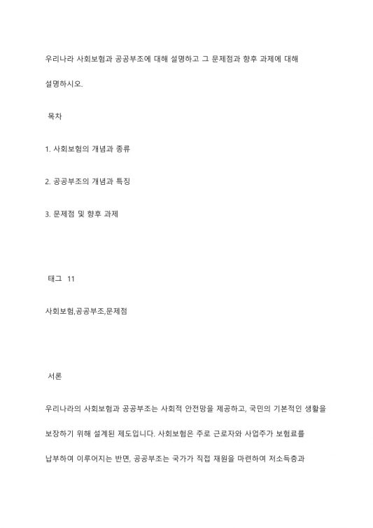 우리나라 사회보험과 공공부조에 대해 설명하고 그 문제점과 향후 과제에 대해 설명하시오
