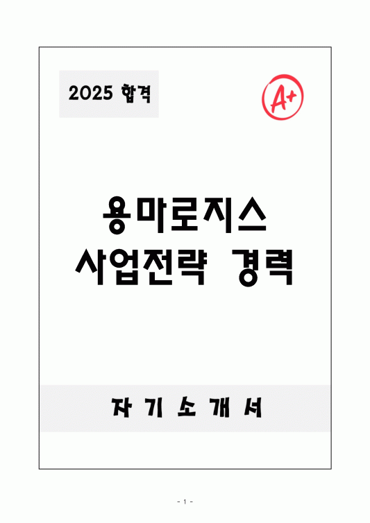 용마로지스 사업전략 경력