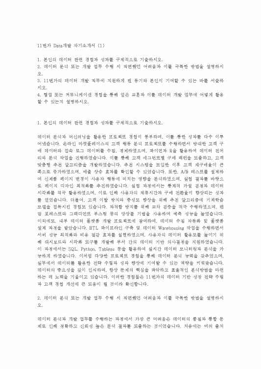 11번가 Data개발 자기소개서 (1)