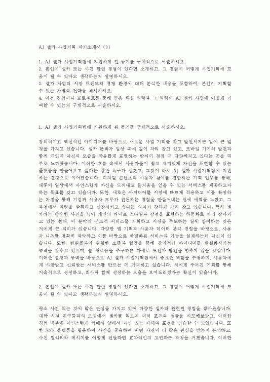 AJ 셀카 사업기획 자기소개서 (3)