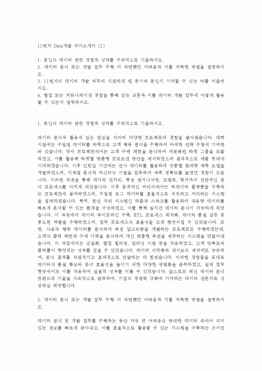11번가 Data개발 자기소개서 (1)