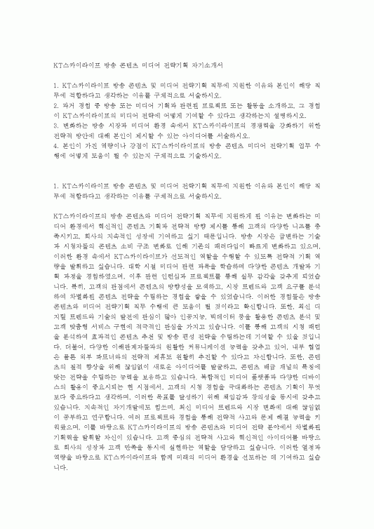 KT스카이라이프 방송 콘텐츠 미디어 전략기획 자기소개서