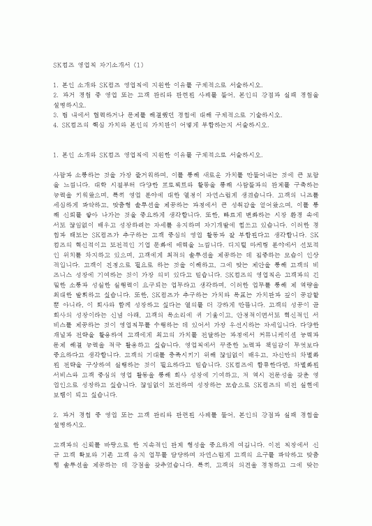 SK컴즈 영업직 자기소개서 (1)