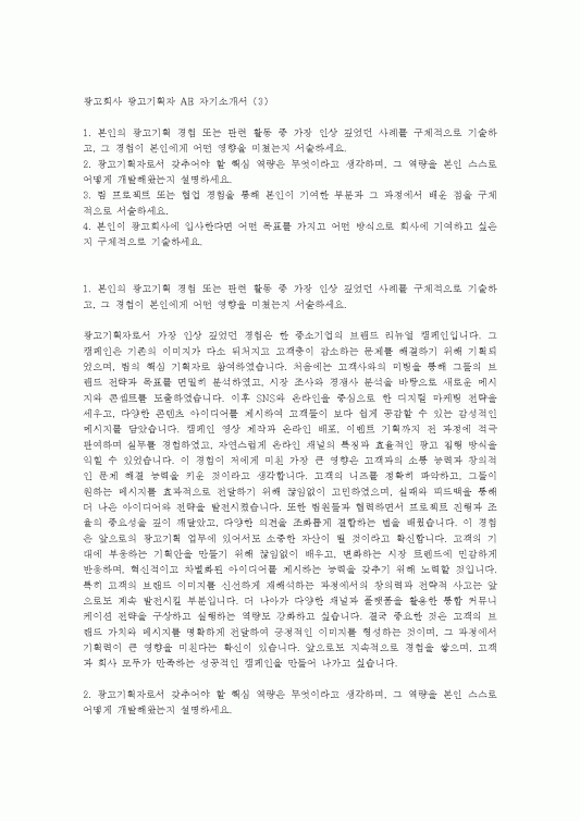 광고회사 광고기획자 AE 자기소개서 (3)