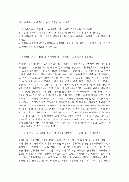 NICE지니데이타 빅데이터 분석 컨설팅 자기소개서
