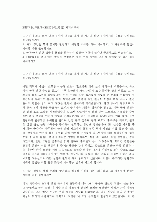 BGF그룹_코프라-EHS(환경_안전) 자기소개서