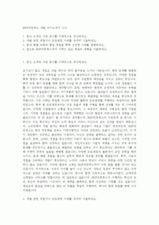 BGF네트웍스 개발 자기소개서 (13)