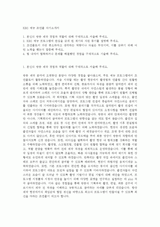 KBS 예능 조연출 자기소개서