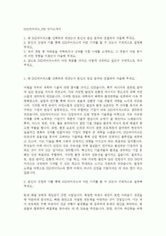 DIG에어가스_PM 자기소개서