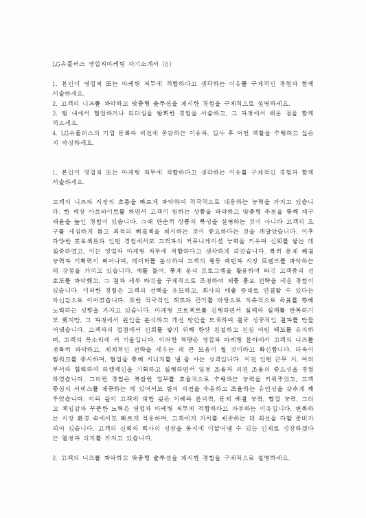 LG유플러스 영업직마케팅 자기소개서 (6)