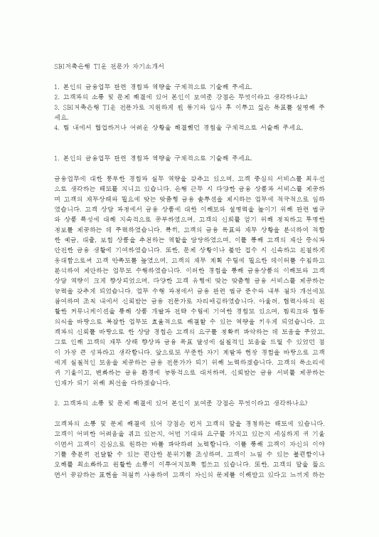 SBI저축은행 TI운 전문가 자기소개서