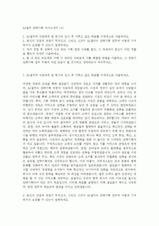 AJ셀카 전략기획 자기소개서 (3)