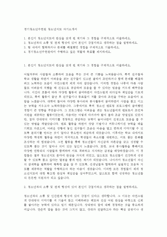 경기청소년수련원 청소년지도 자기소개서