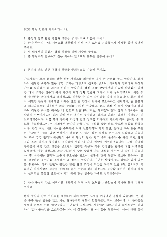 BIG3 병원 간호사 자기소개서 (2)