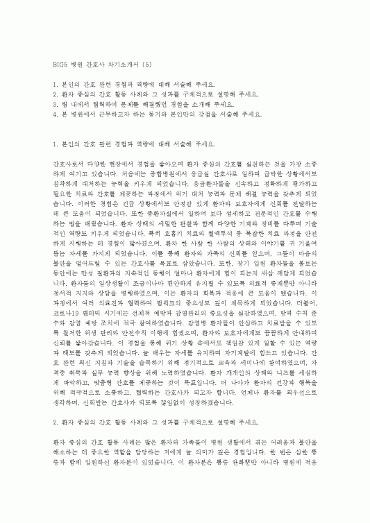 BIG5 병원 간호사 자기소개서 (5)