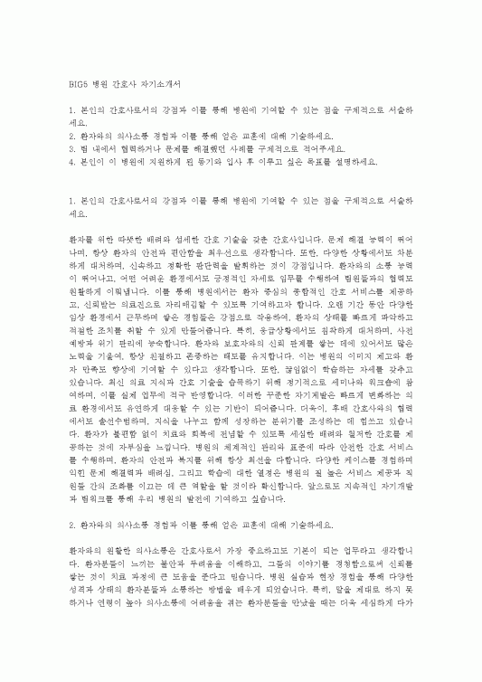 BIG5 병원 간호사 자기소개서