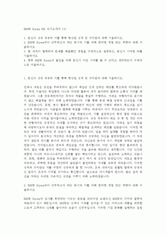 BMW Korea HR 자기소개서 (3)