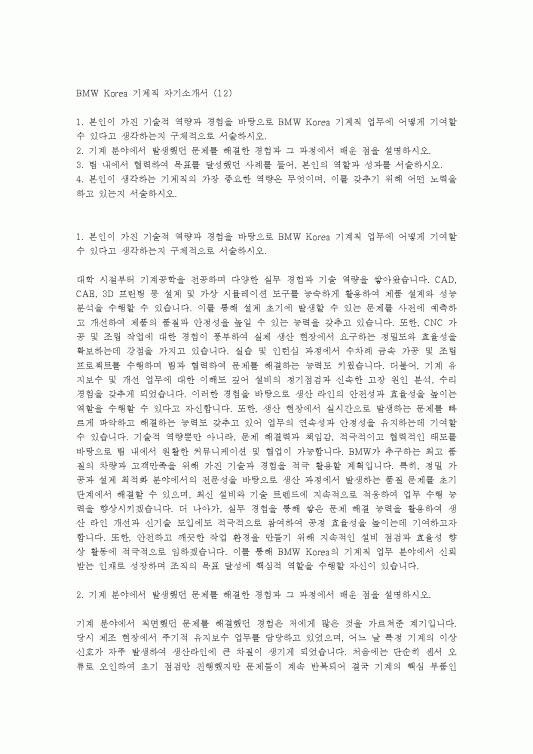 BMW Korea 기계직 자기소개서 (12)