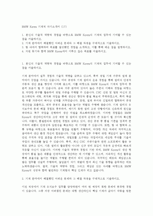 BMW Korea 기계직 자기소개서 (17)