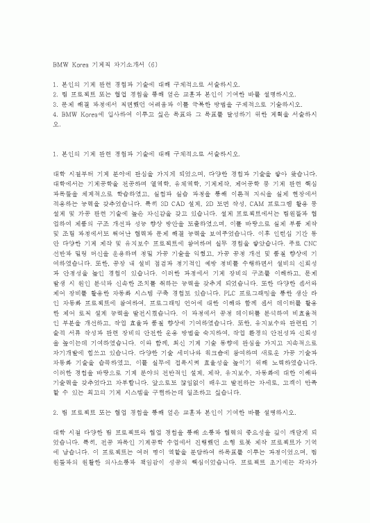 BMW Korea 기계직 자기소개서 (6)