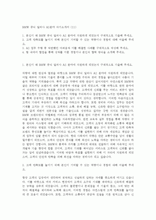 BMW 공식 딜러사 AS분야 자기소개서 (11)