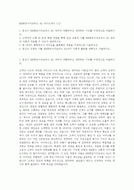 BMW도이치모터스 AS 자기소개서 (12)
