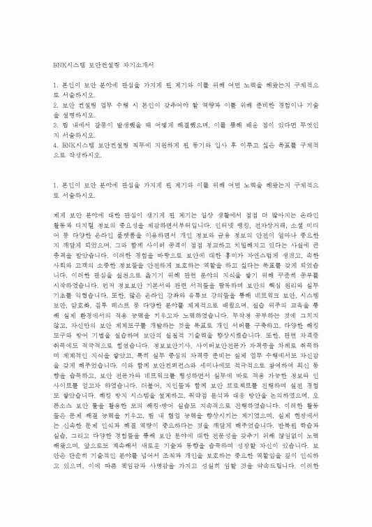 BNK시스템 보안컨설팅 자기소개서