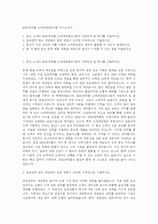BNK캐피탈 소매채권관리1팀 자기소개서