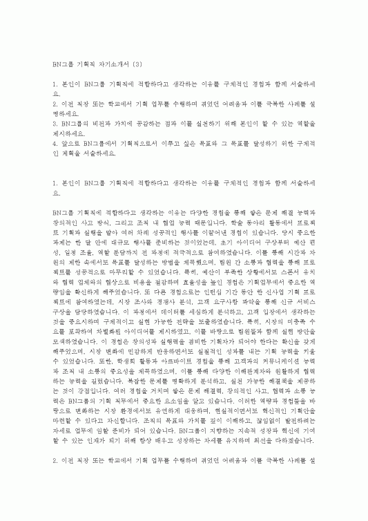 BN그룹 기획직 자기소개서 (3)