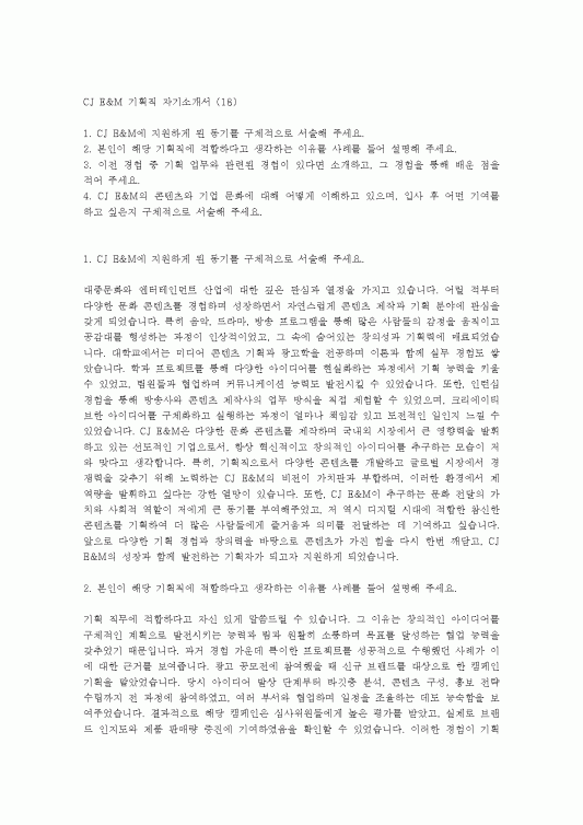 CJ E&M 기획직 자기소개서 (18)