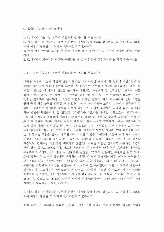 CJ ENM 기술지원 자기소개서