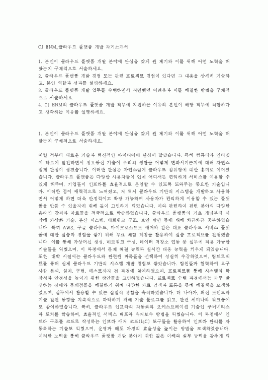 CJ ENM_클라우드 플랫폼 개발 자기소개서