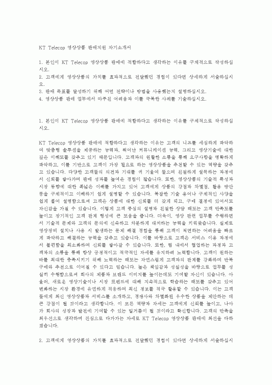KT Telecop 영상상품 판매지원 자기소개서