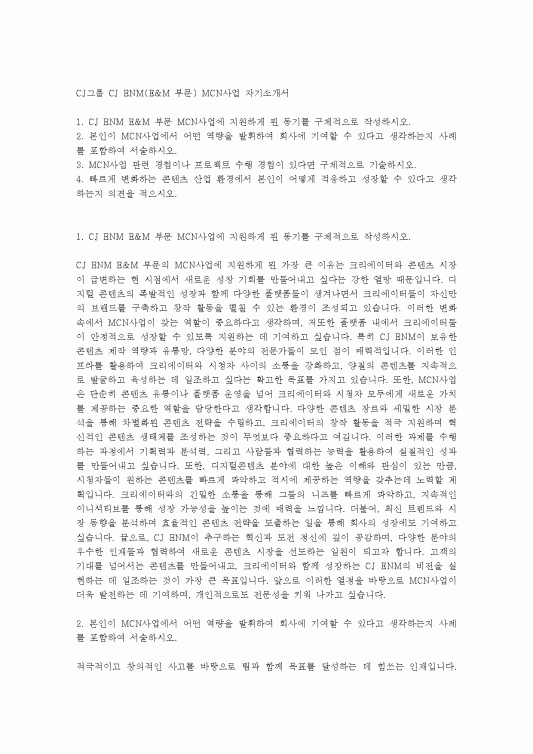 CJ그룹 CJ ENM(E&M 부문) MCN사업 자기소개서