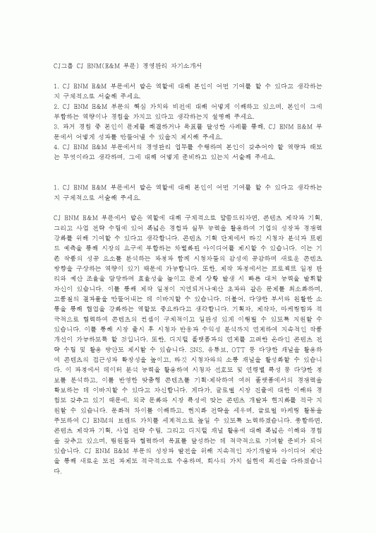 CJ그룹 CJ ENM(E&M 부문) 경영관리 자기소개서