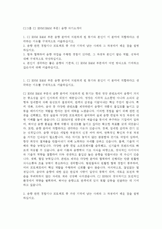 CJ그룹 CJ ENM(E&M 부문) 음향 자기소개서