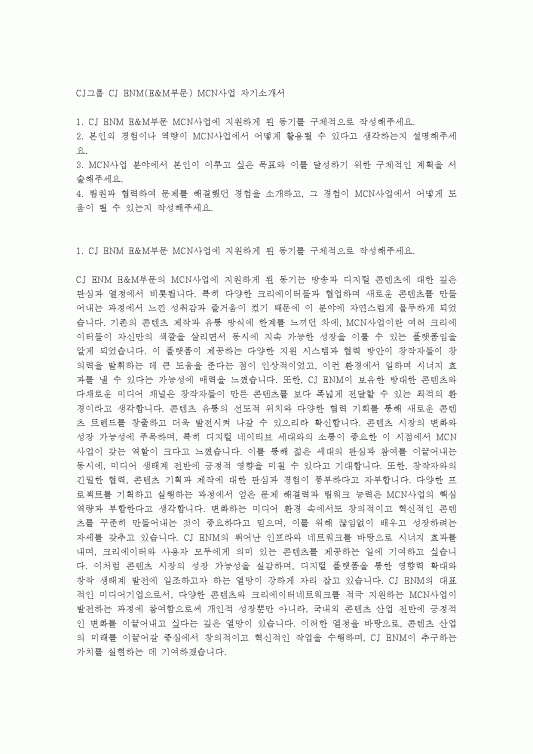 CJ그룹 CJ ENM(E&M부문) MCN사업 자기소개서
