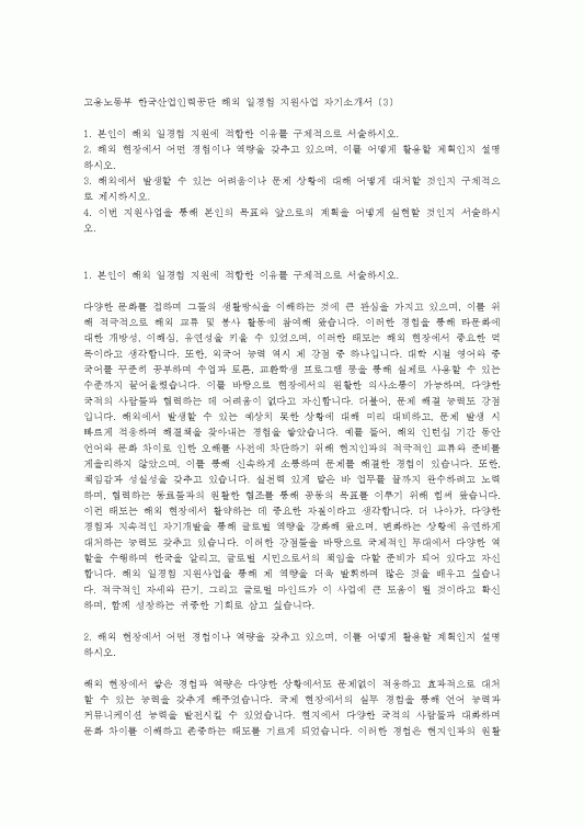 고용노동부 한국산업인력공단 해외 일경험 지원사업 자기소개서 (3)