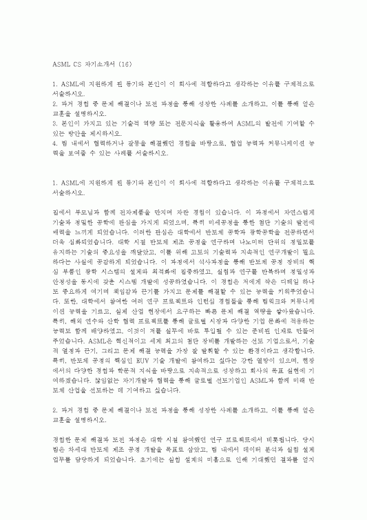 ASML CS 자기소개서 (16)