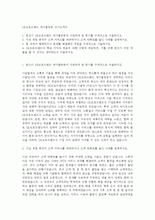 SK브로드밴드 케이블방송 자기소개서