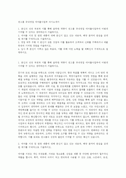썬그룹 국내영업 에어졸사업부 자기소개서