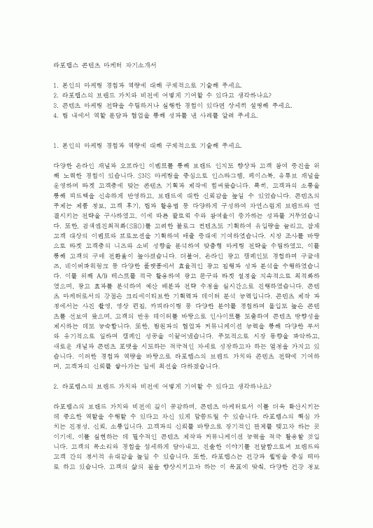 라포랩스 콘텐츠 마케터 자기소개서