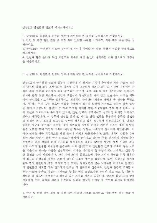 삼성SDI 안전환경 인프라 자기소개서 (1)