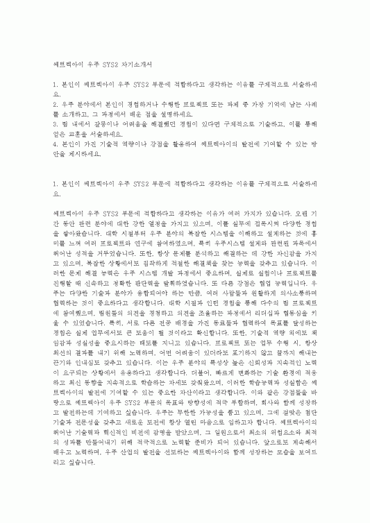 쎄트렉아이 우주 SYS2 자기소개서