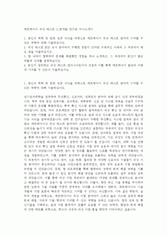 쎄트렉아이 위성 테스트 S_W개발 연구원 자기소개서