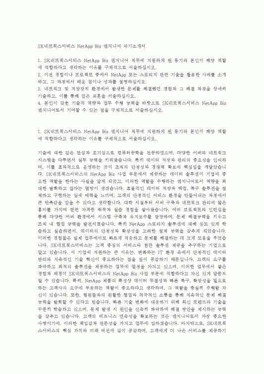 SK네트웍스서비스 NetApp Biz 엔지니어 자기소개서