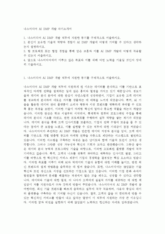 나스미디어 AI DMP 개발 자기소개서