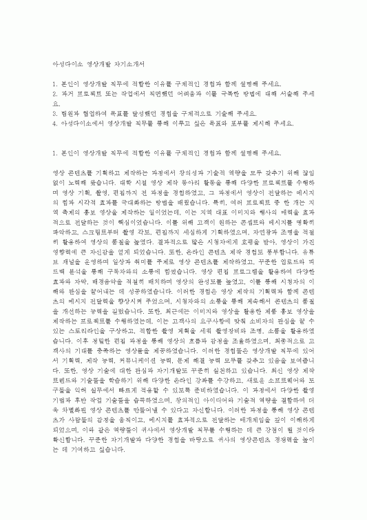 아성다이소 영상개발 자기소개서