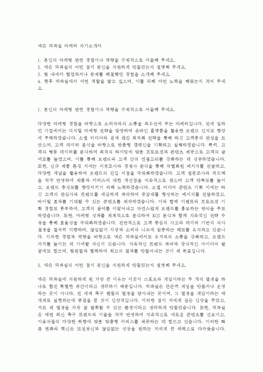 넥슨 피파실 마케터 자기소개서