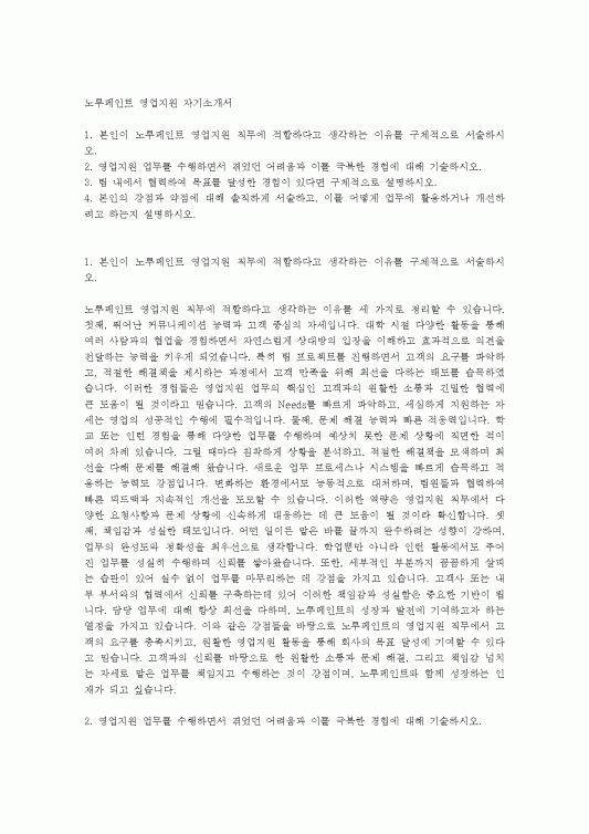 노루페인트 영업지원 자기소개서